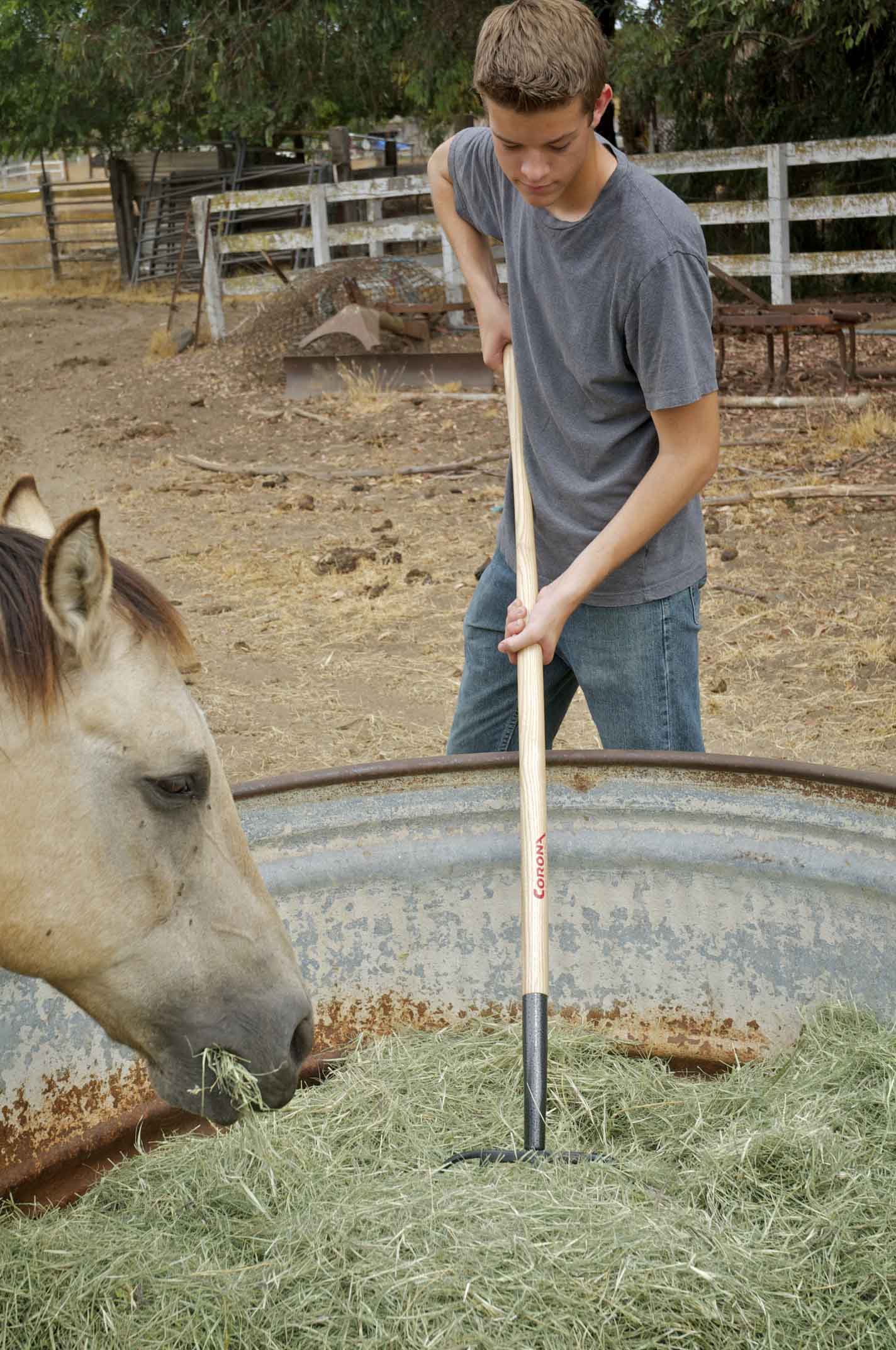 Manure Fork - 5 Tine