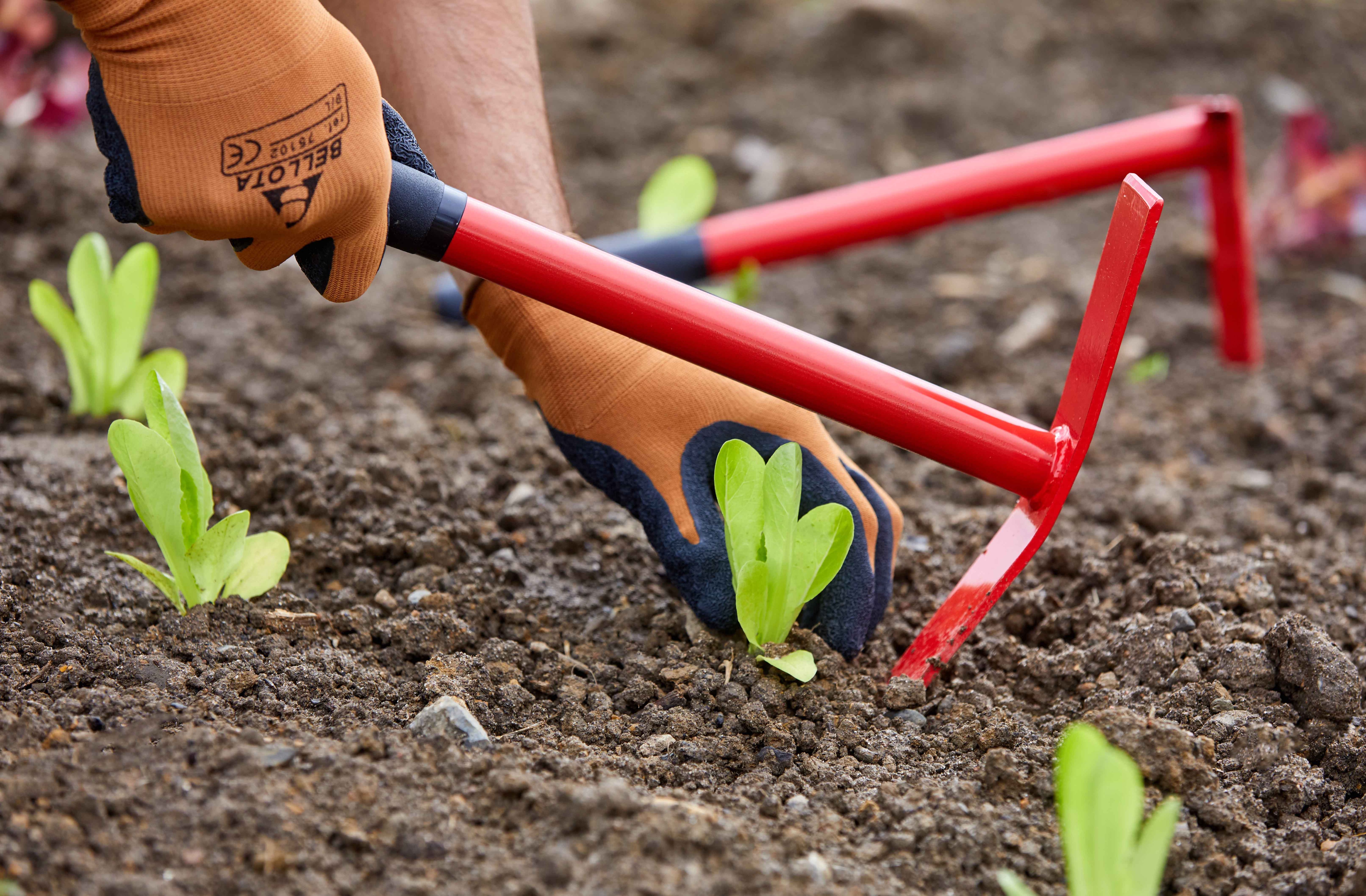 Planting Mattock
