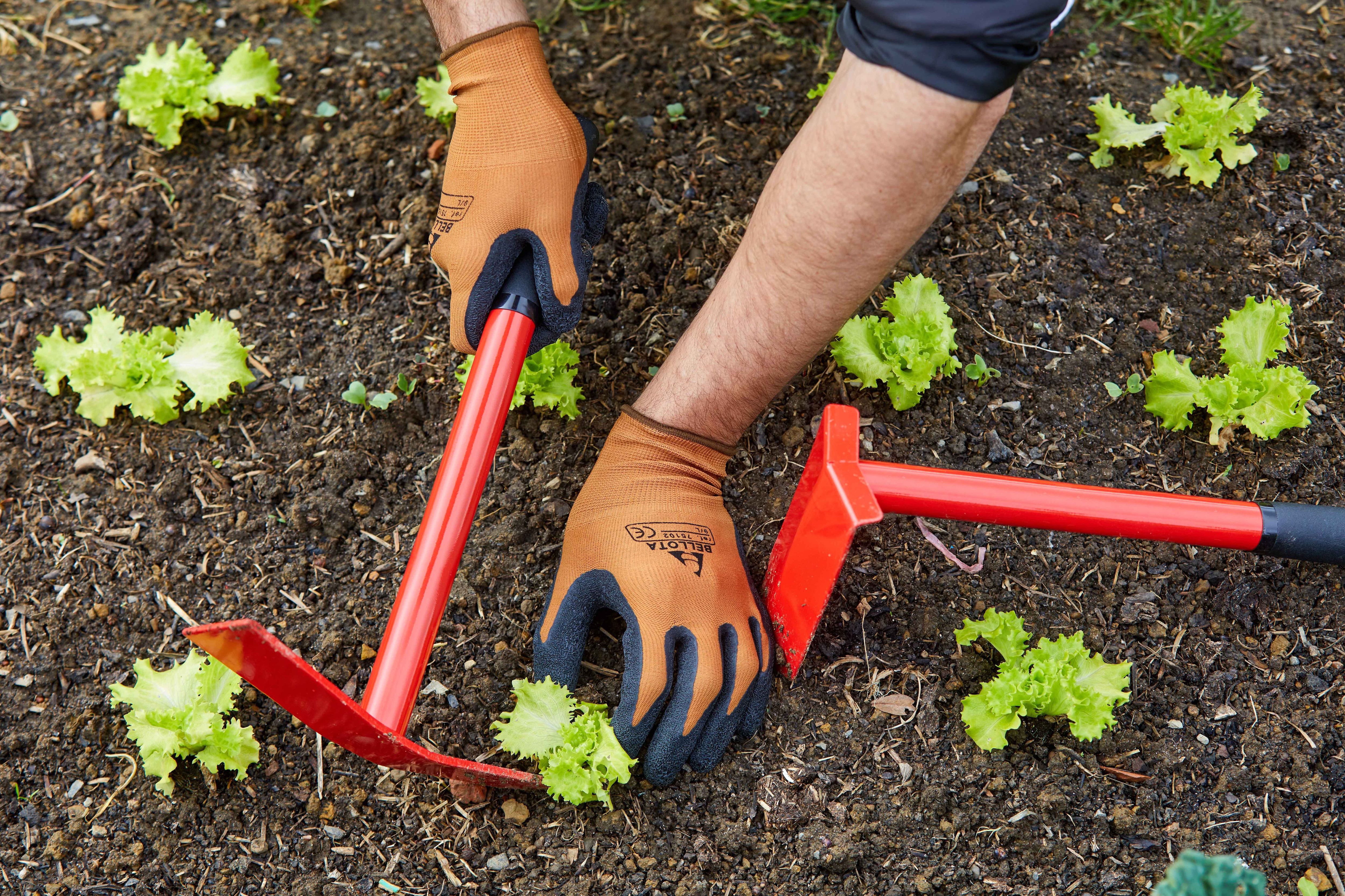 Planting Mattock