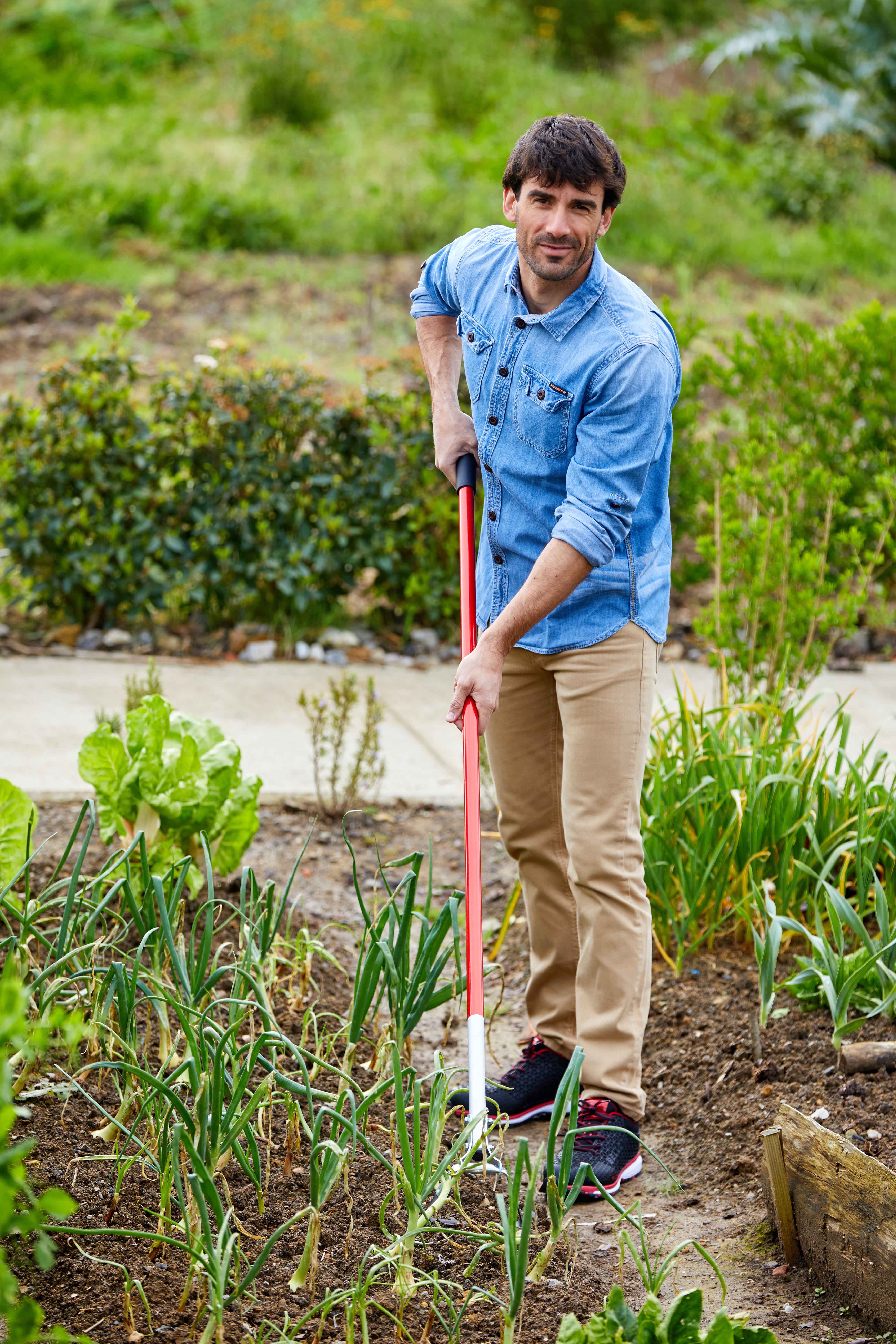 Oscillating Hoe - 6 Inch