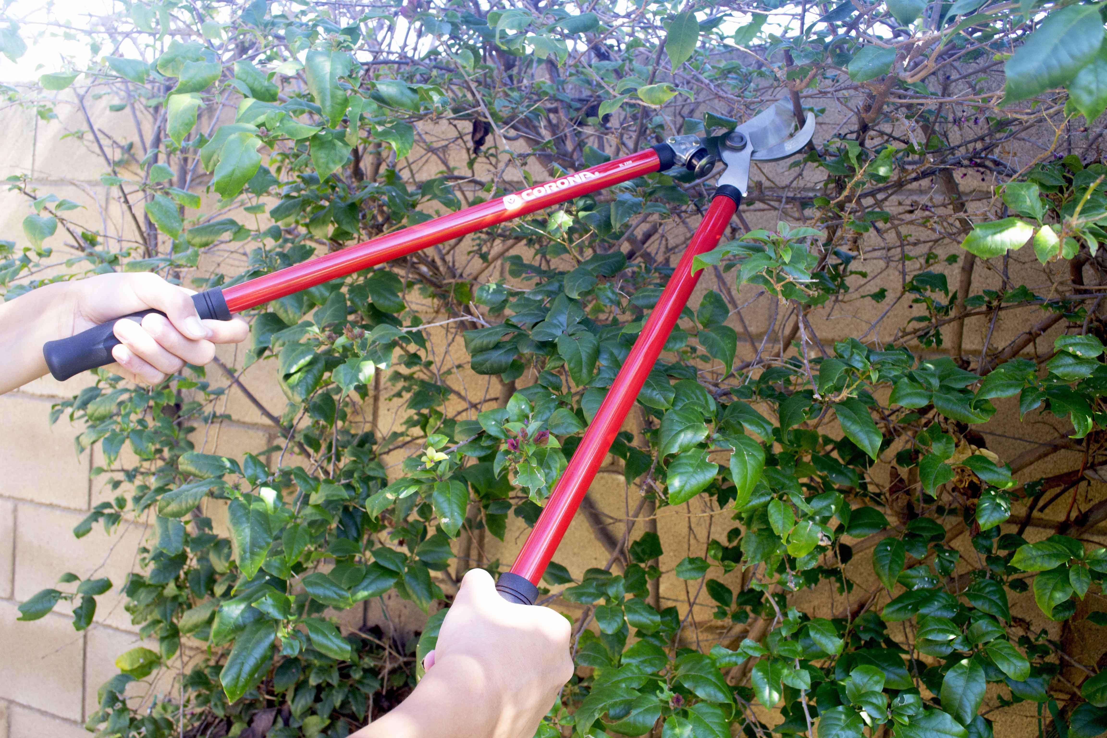 Shrub, Branch & Stem 3-Pc. Set