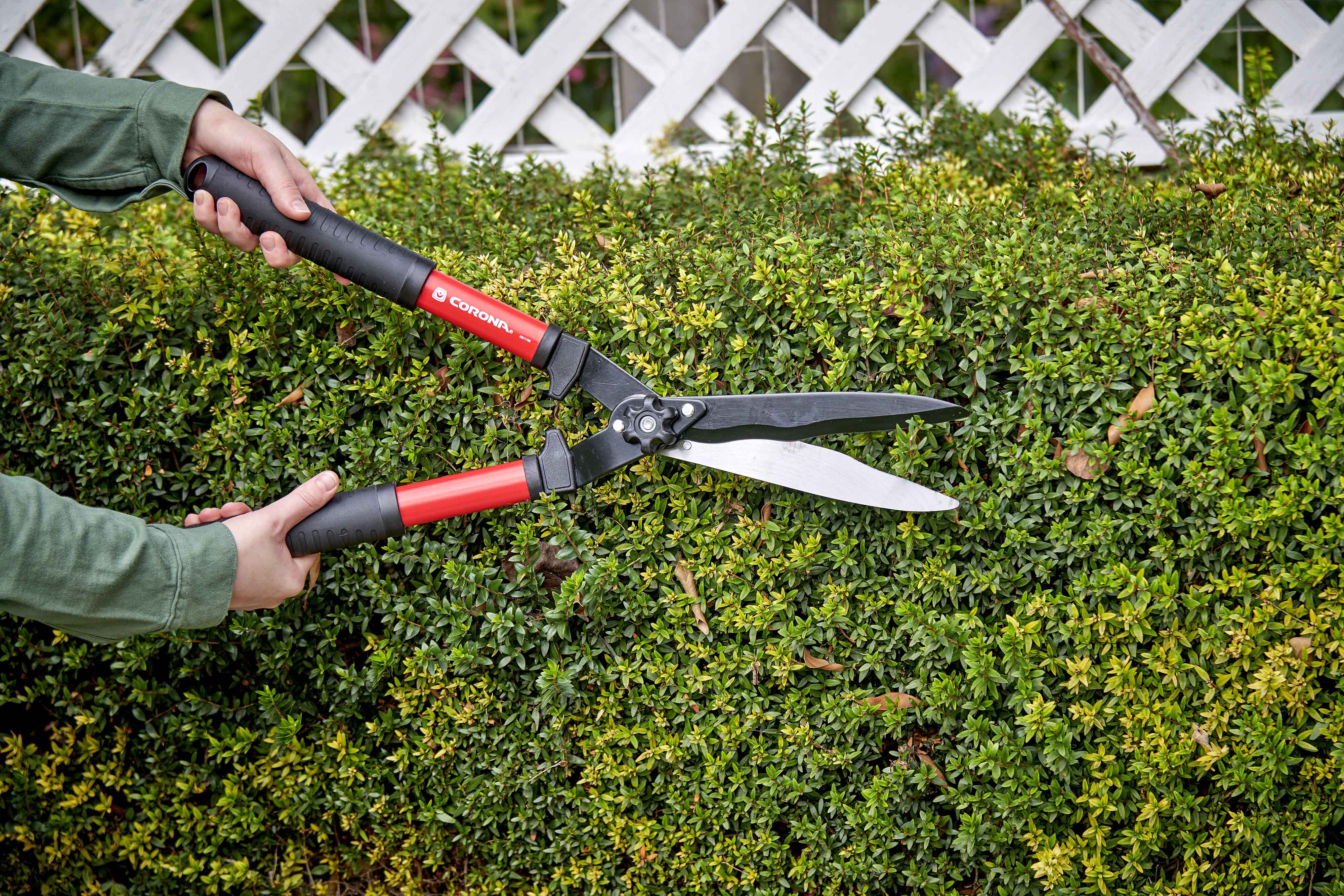 Shrub, Branch & Stem 3-Pc. Set