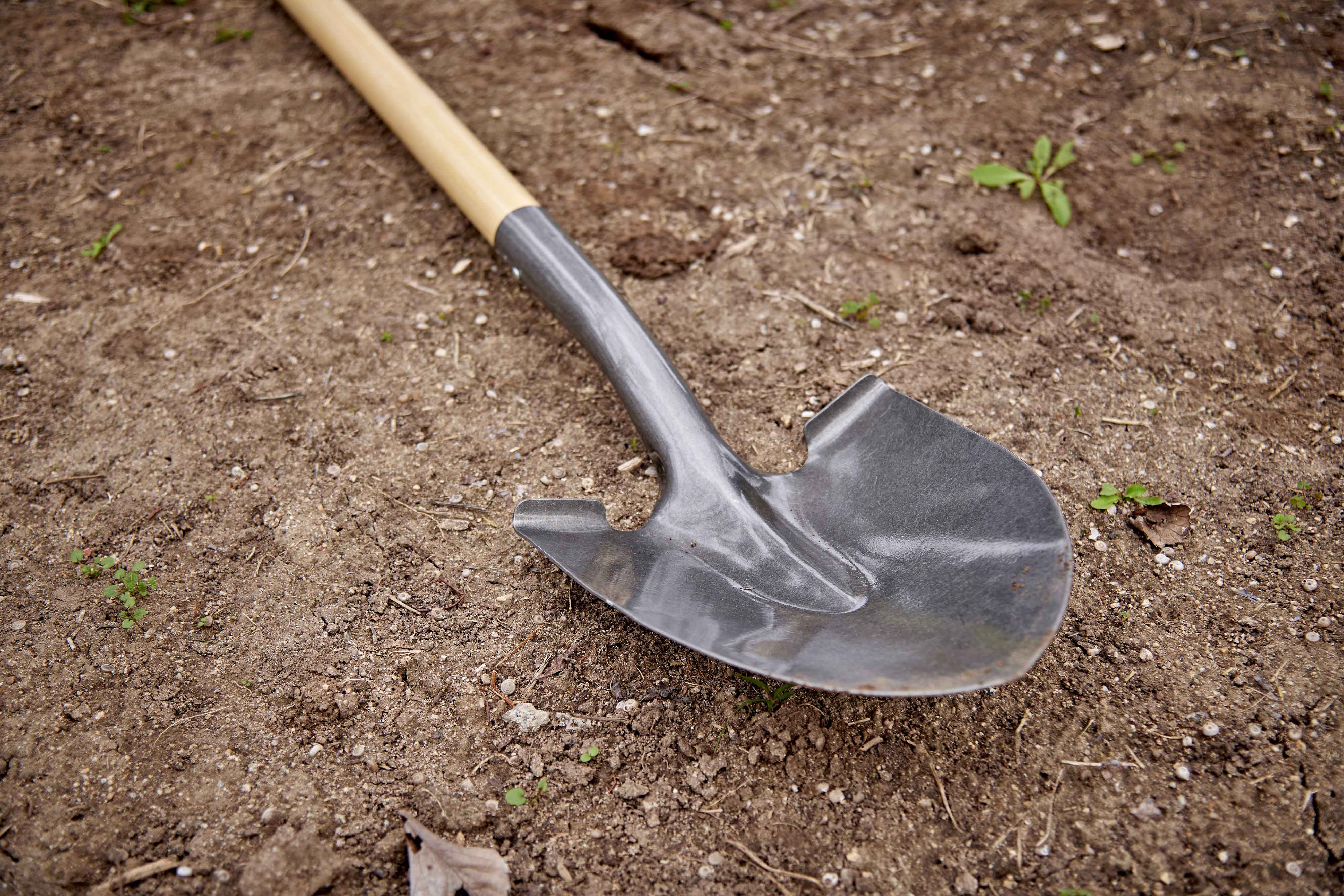 #2 Round Point Shovel - Light
