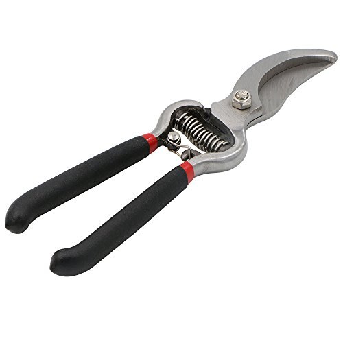 1~ HAND PRUNER