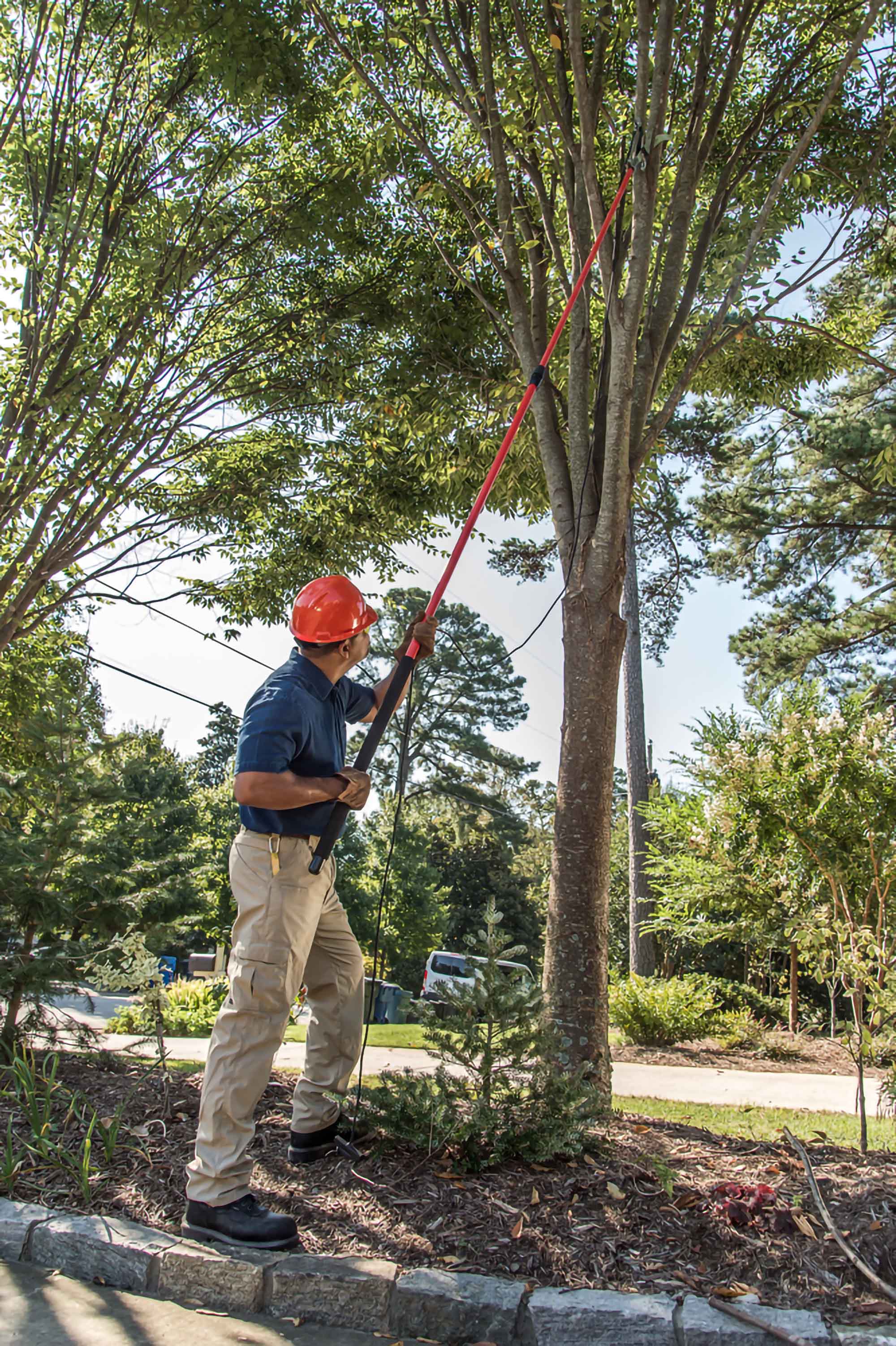 14' Dual Compound-Action Tree Prun